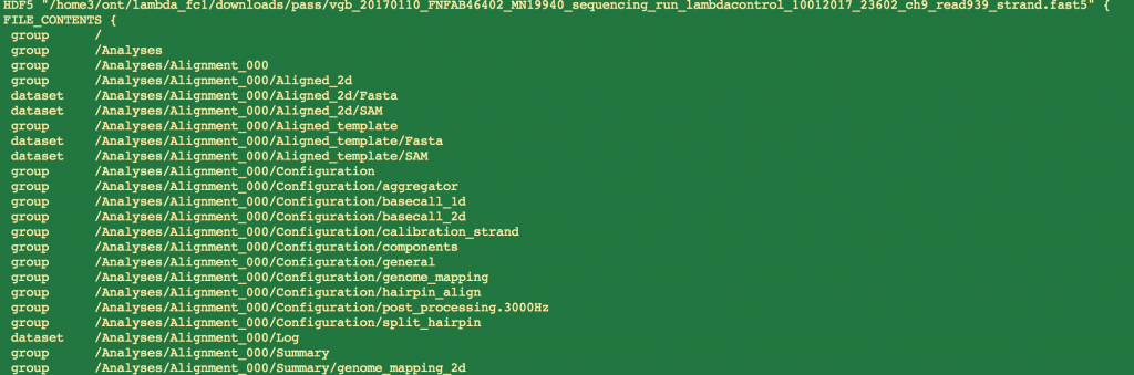 Exploring the FAST5 format – CVR Bioinformatics